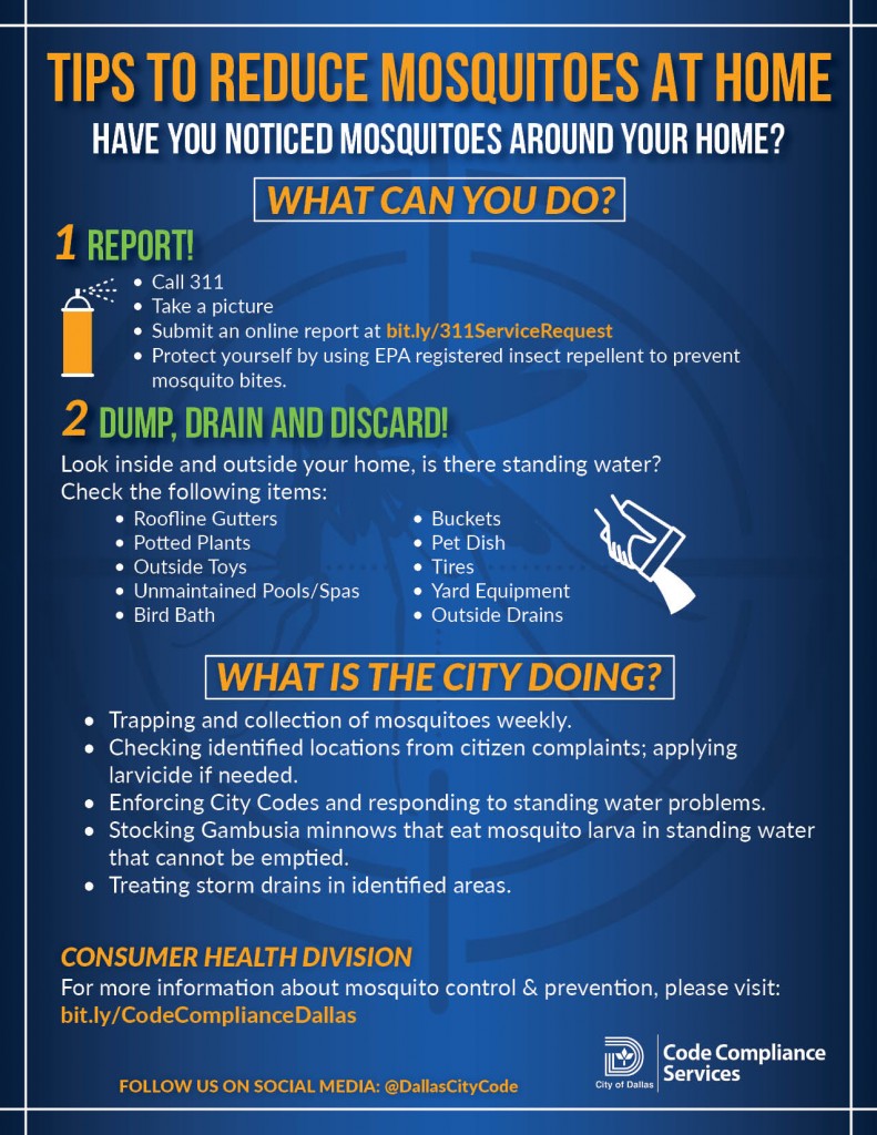 Fight The Bite: Mosquito Prevention in Dallas - Dallas City News